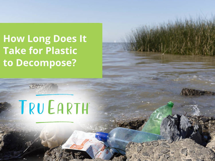 How Long Does It Take for Plastic to Decompose? – Tru Earth EU